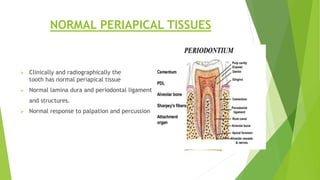 LECT#4 1Pulpal and periradicular pathosis 2.pptx