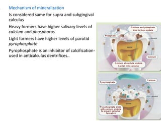 LECT 4 DENTAL CALCULUS INCLUDING FORMATION AND CAUSES.pptx