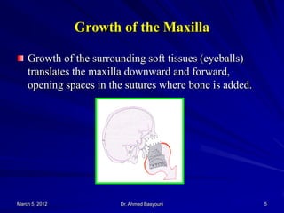 Growth and Development of Craniofacial Complex II | PDF | Bone and ...