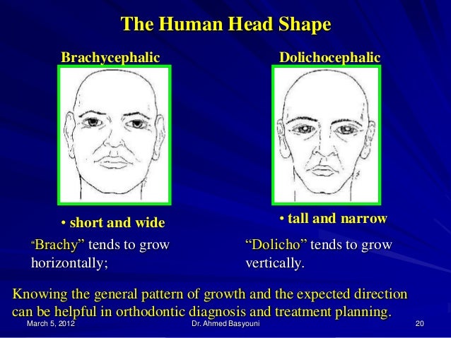 Growth and Development of Craniofacial Complex II