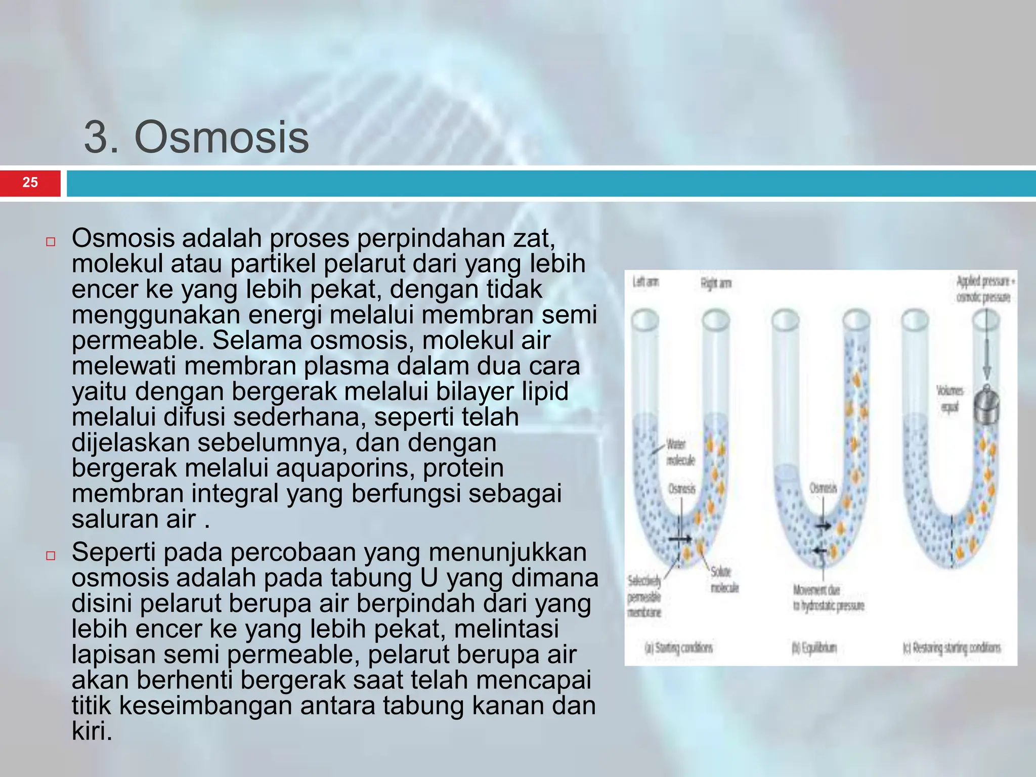 Lect 4 SISTEM TRANSPOR MEMBRAN SEL LENGKAP | PPTX