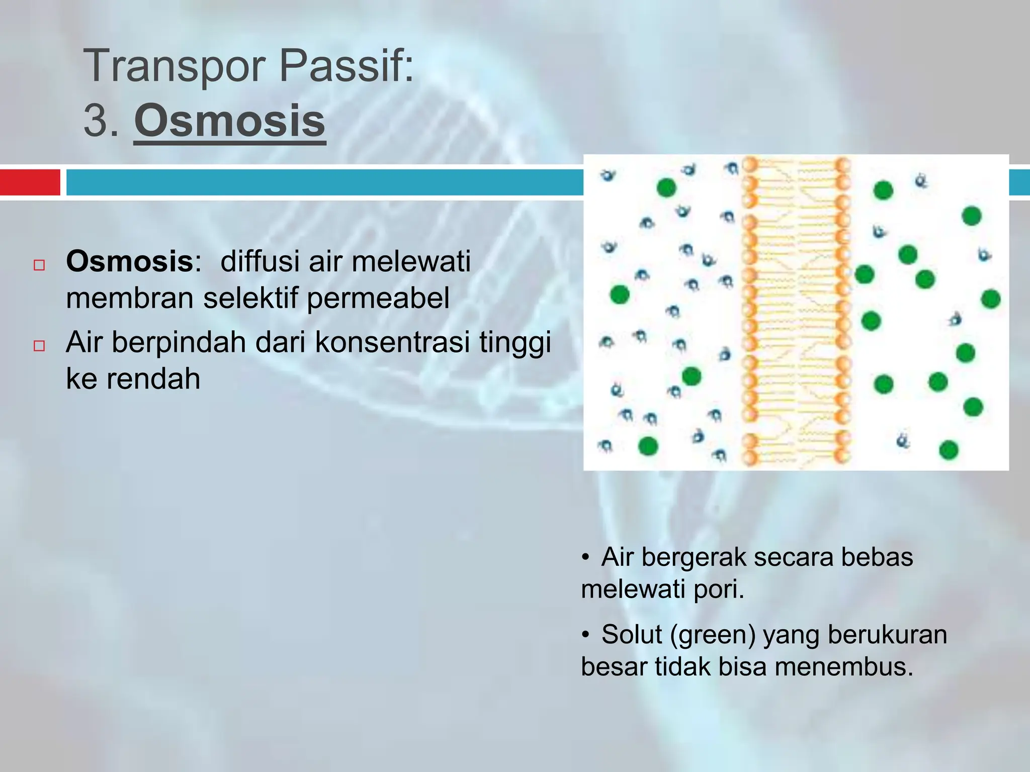 Lect 4 SISTEM TRANSPOR MEMBRAN SEL LENGKAP | PPTX