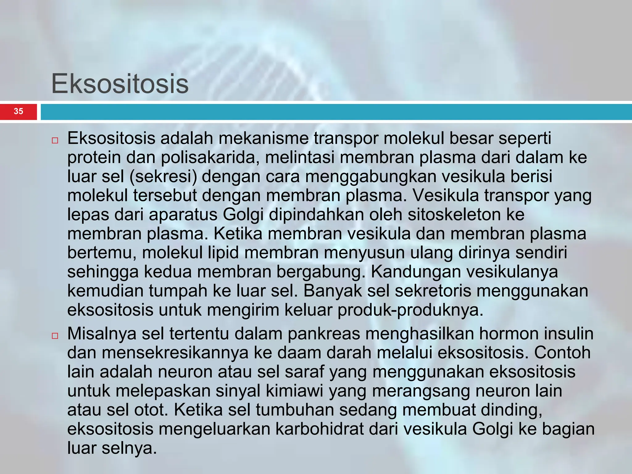 Lect 4 SISTEM TRANSPOR MEMBRAN SEL LENGKAP | PPTX