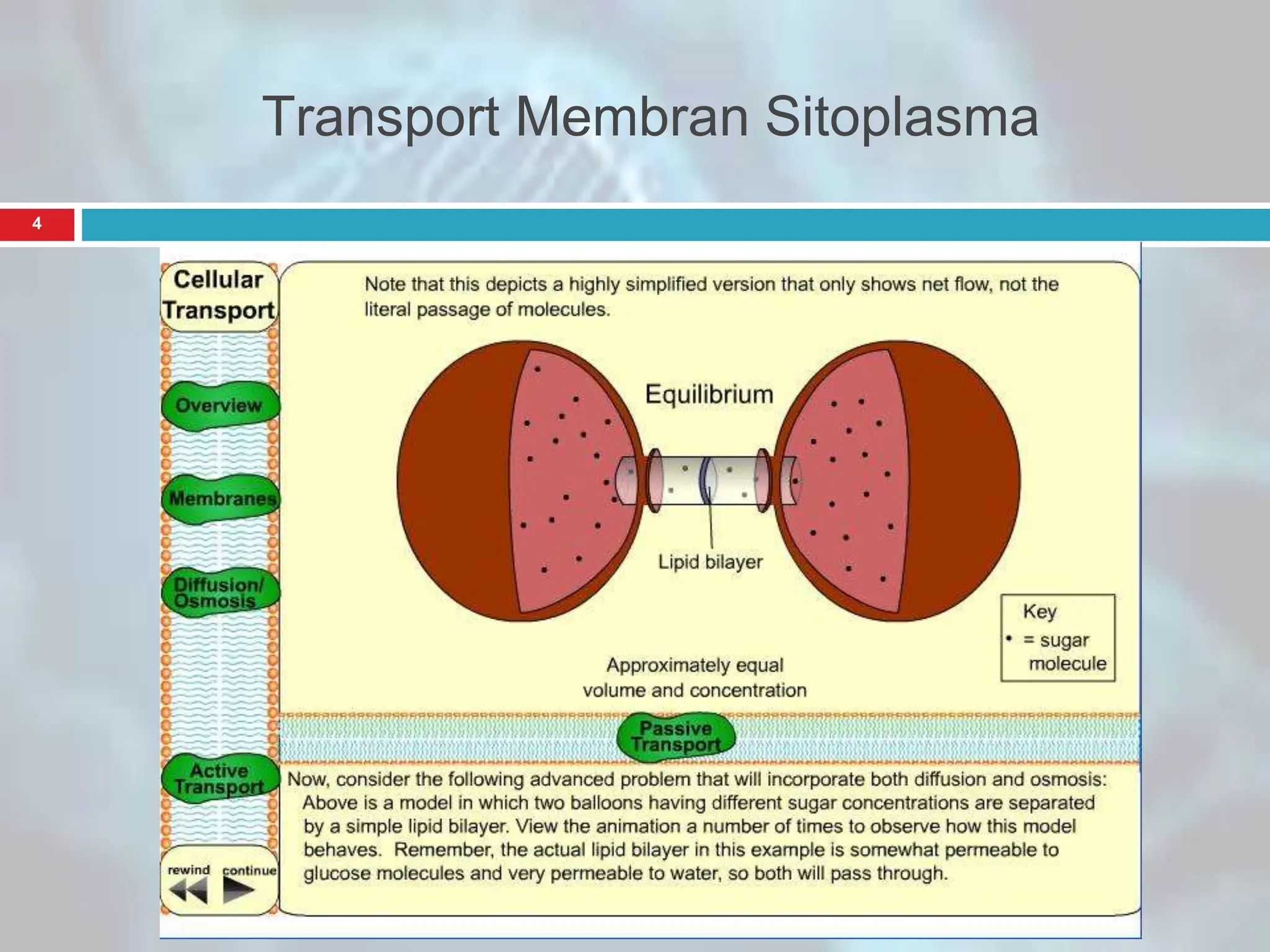 Lect 4 SISTEM TRANSPOR MEMBRAN SEL LENGKAP | PPTX