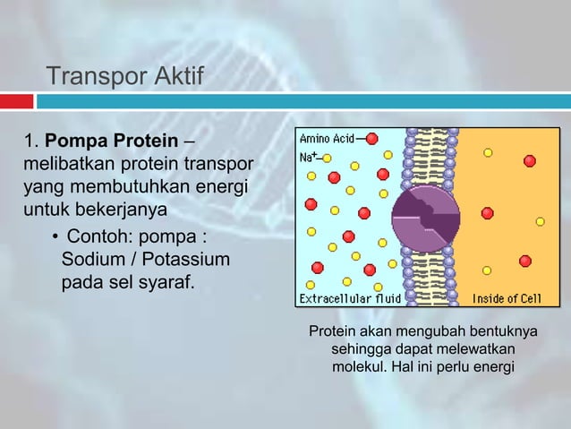 Lect 4 SISTEM TRANSPOR MEMBRAN SEL LENGKAP | PPTX