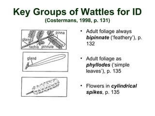 Lect 5 flora identification 2013 | PPT