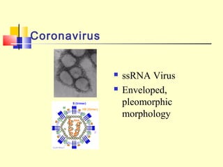 Lect 5 - Respiratory viruses | PPT