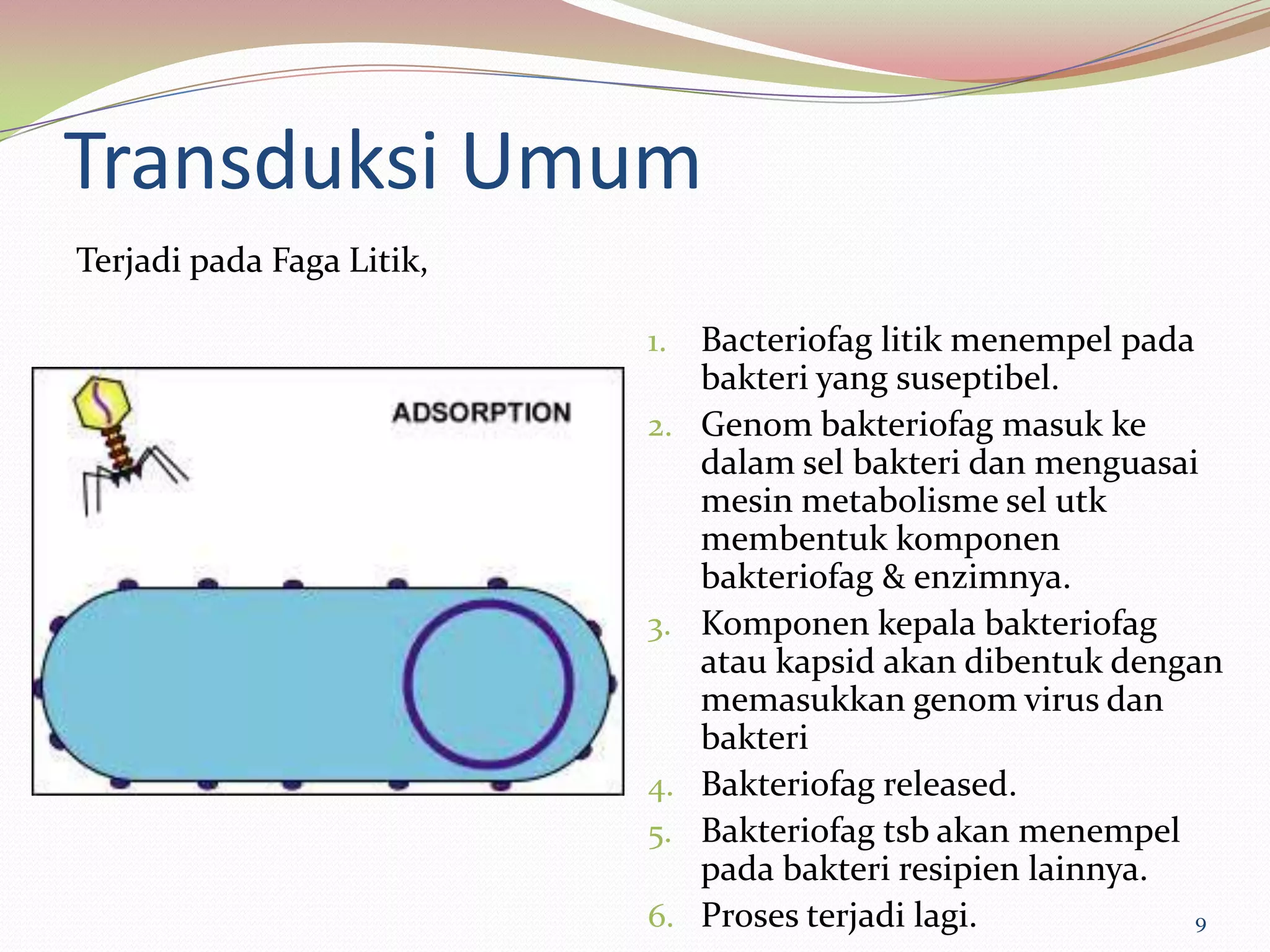 Genetika mikroba | PPTX