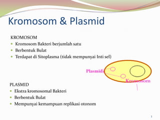 Genetika mikroba | PPTX