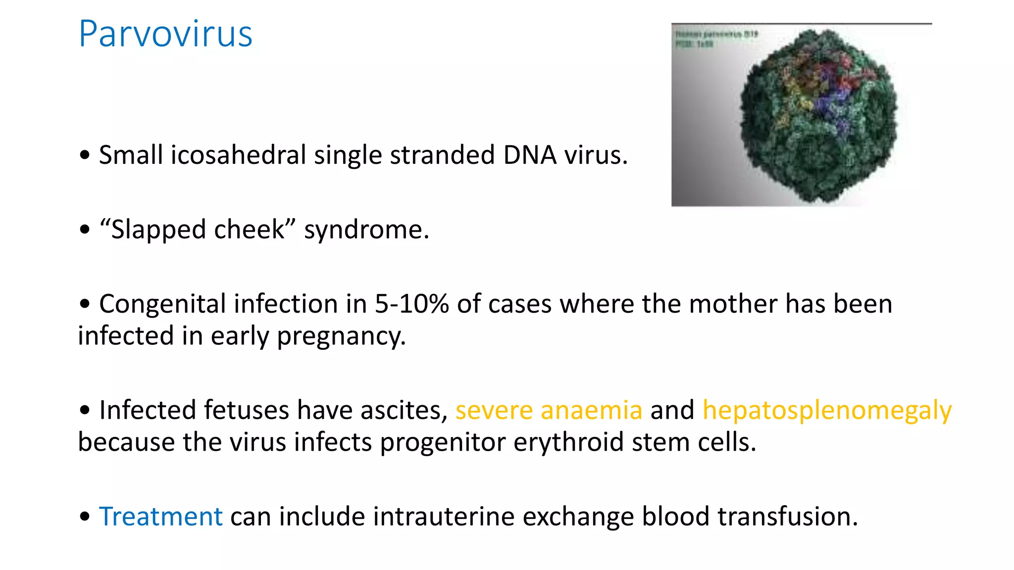 Lect 5 Obstetrics and Perinatal Infections.pptx