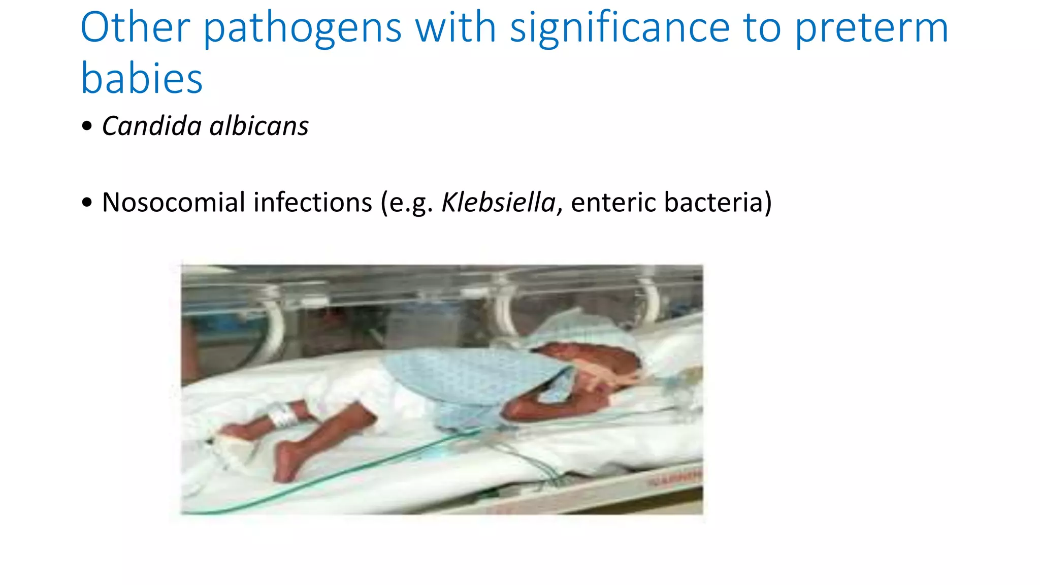 Lect 5 Obstetrics and Perinatal Infections.pptx