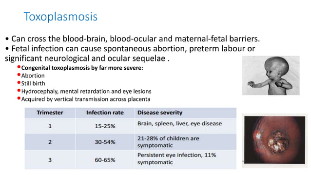 Lect 5 Obstetrics and Perinatal Infections.pptx