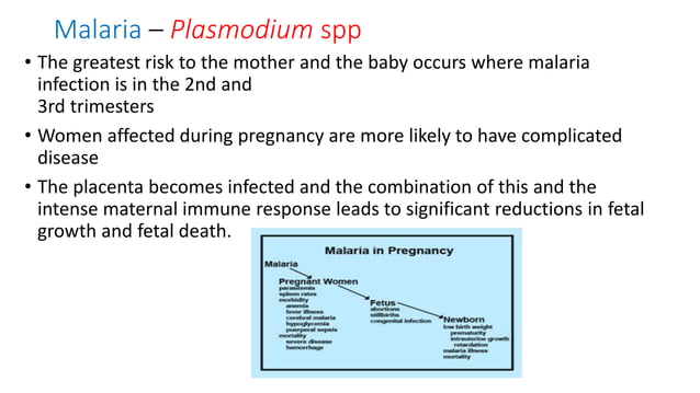 Lect 5 Obstetrics and Perinatal Infections.pptx