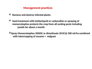 Lect 6.pptx presentation download hhhhhj | PPT