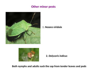 Lect 6.pptx presentation download hhhhhj | PPTX