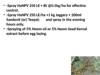 Lect 6.pptx presentation download hhhhhj | PPT