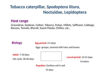 Lect 6.pptx presentation download hhhhhj | PPT
