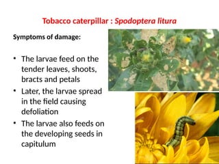 Lect 6.pptx presentation download hhhhhj | PPT