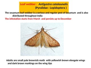 Lect 6.pptx presentation download hhhhhj | PPT