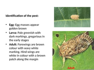 Lect 6.pptx presentation download hhhhhj | PPT