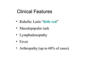 Lect 6 b rubella rmc | PPT