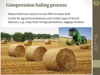 Lect 6 Biomass Briquetting.pptx