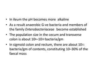 Lect 6 Microbiota.pptx