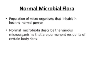 Lect 6 Microbiota.pptx