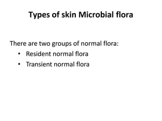 Lect 6 Microbiota.pptx