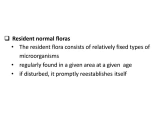 Lect 6 Microbiota.pptx