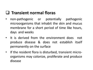 Lect 6 Microbiota.pptx