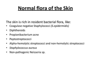 Lect 6 Microbiota.pptx