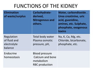 Lect 6 physiological principles of the renal | PPTX