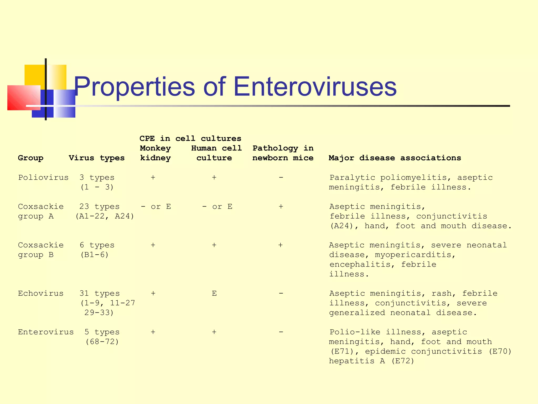 Lect 7 a enteroviruses-rmc | PPT