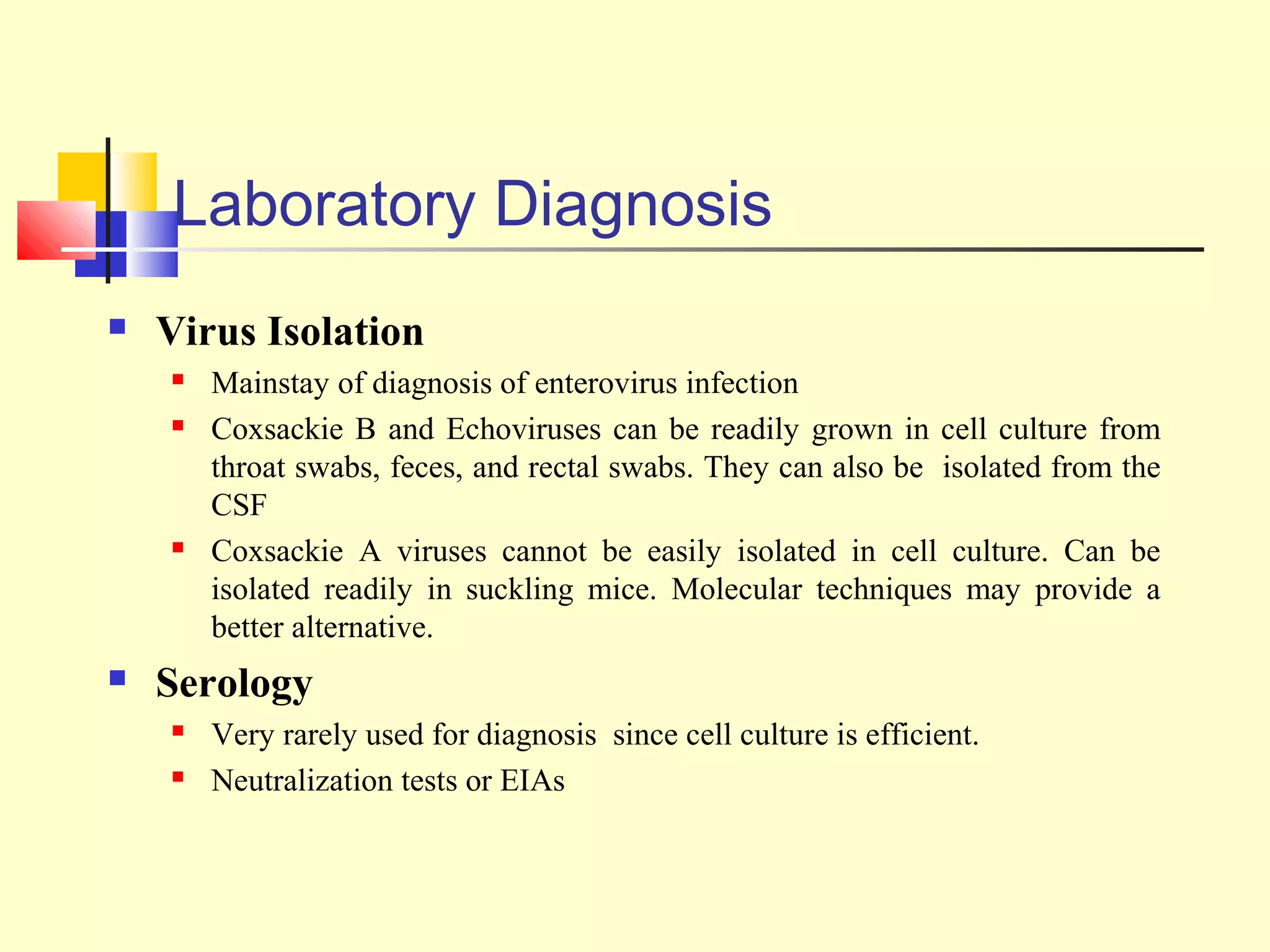 Lect 7 a enteroviruses-rmc | PPT