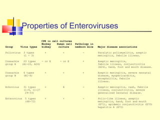 Lect 7 a enteroviruses-rmc | PPT