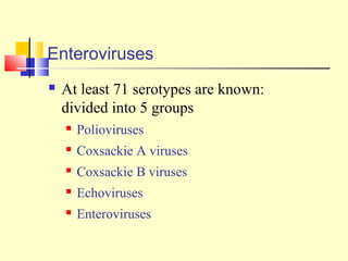 Lect 7 a enteroviruses-rmc | PPT