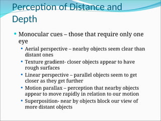 LECT 7B. Perception lecture.ppt. ...... | PPT