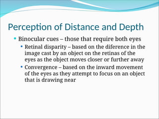 LECT 7B. Perception lecture.ppt. ...... | PPT
