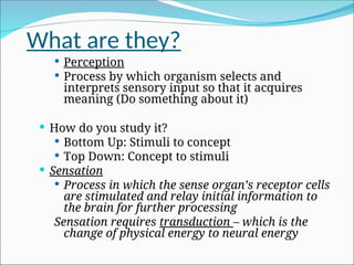 LECT 7B. Perception lecture.ppt. ...... | PPT
