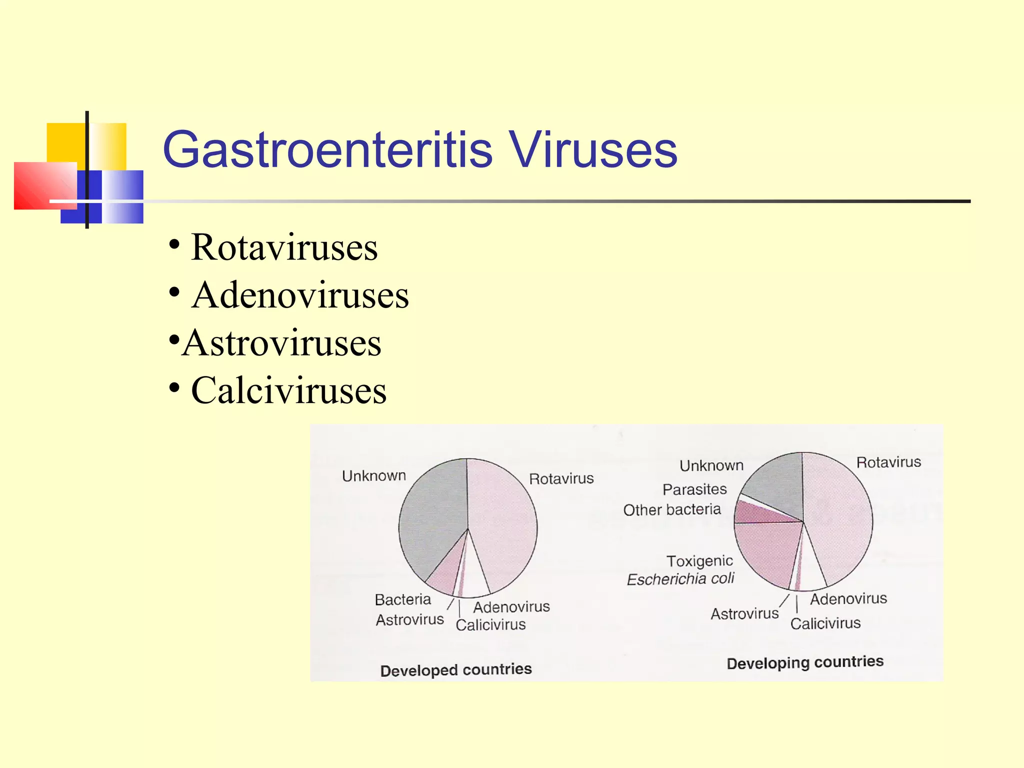 Lect 7 b diarrhoea viruses-rmc | PPT