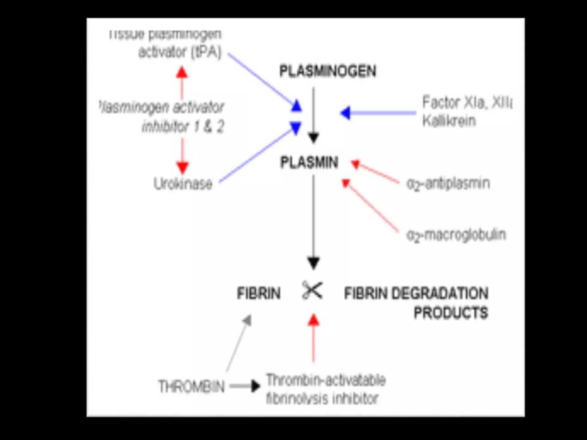 Lect 7 Coagulation and Thrombosis.pptx