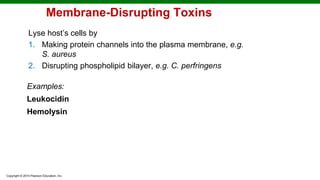 Lect 7 Microbial Mechanisms of Pathogenicity.pptx