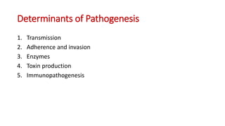 Lect 7 Microbial Mechanisms of Pathogenicity.pptx