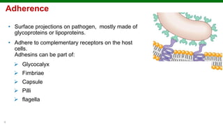Lect 7 Microbial Mechanisms of Pathogenicity.pptx