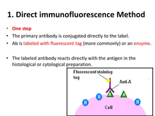 Immunohistochemistry, the basics and applications.pptx