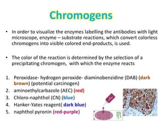 Immunohistochemistry, the basics and applications.pptx