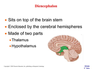 lect 9-nervous system physiology.pptx