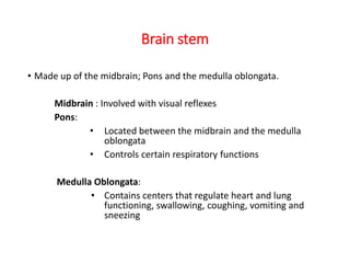 lect 9-nervous system physiology.pptx