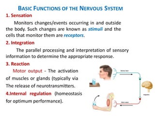 lect 9-nervous system physiology.pptx